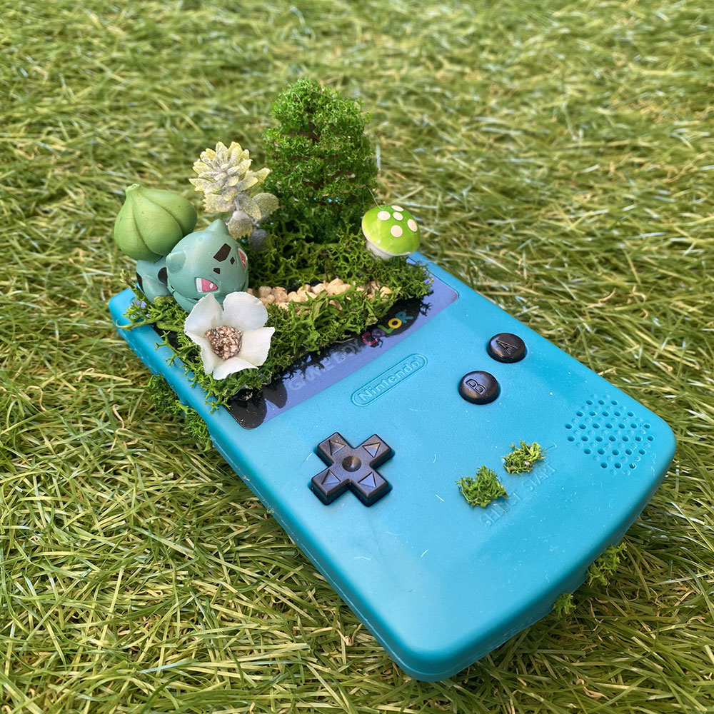 GameBoy Color Bulbasaur - JuKi terrari